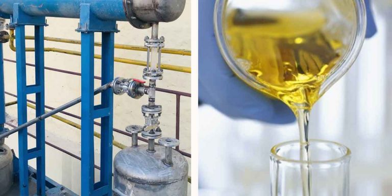 What Is Cardanol? Cardanol Uses And Manufacturing Process