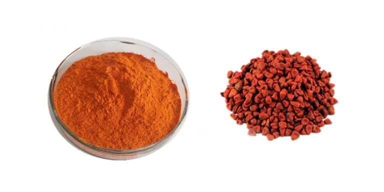 Natural Colorants For Cosmetics: What You Need To Know